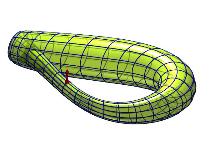 Klein Bottle Animation